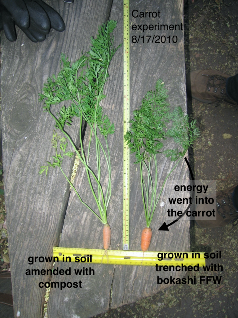 THE STORY OF RECYCLING LEAVES AND FOOD WASTE AT EL SOL BRILLANTE GARDEN ...