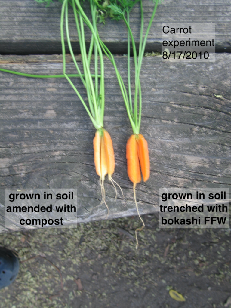 THE STORY OF RECYCLING LEAVES AND FOOD WASTE AT EL SOL BRILLANTE GARDEN ...